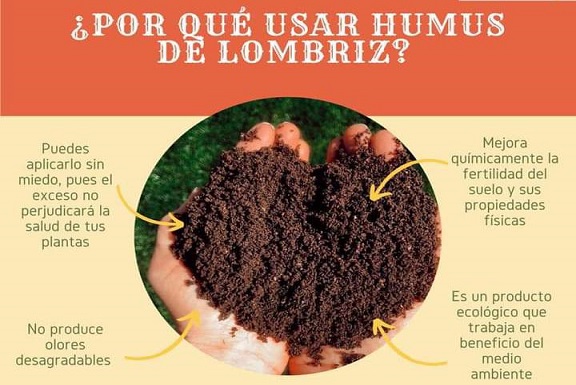 Humus de lombriz | SILAGRO